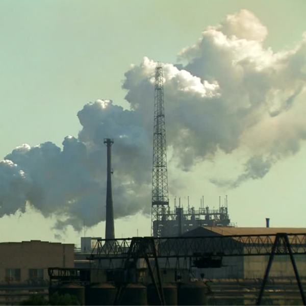 Live Webinar | Using the Embodied Carbon Feature to Achieve Net Zero